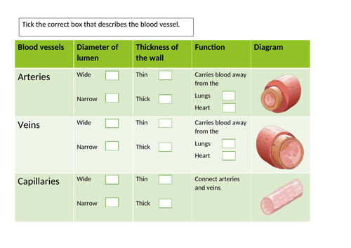 Structure of the heart and blood vessels | Teaching Resources