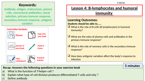 L4. Humoral Immunity (AQA A-level Biology) | Teaching Resources