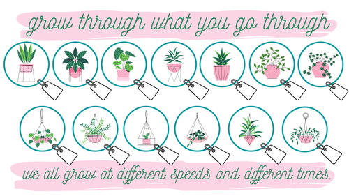Grow Through Plant Floral Poster & Classroom Display Notice Board ...