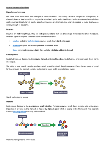 Bacteria and Enzymes in digestion KS3 Activate Science | Teaching Resources
