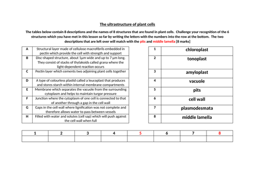 Structure of plant cells (Edexcel Int. A-level Biology) | Teaching ...