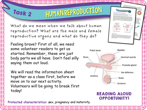 Sexual Intercourse + Genitalia PSHE | Teaching Resources