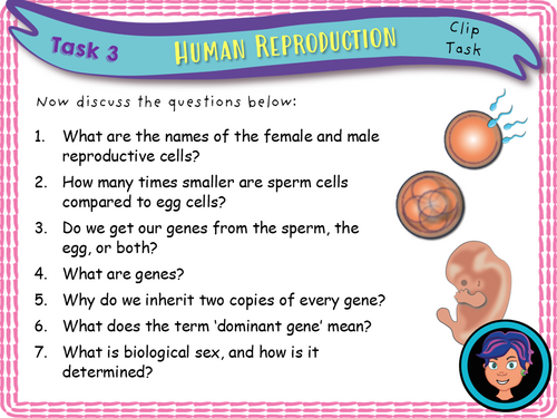 Sexual Intercourse + Genitalia PSHE | Teaching Resources