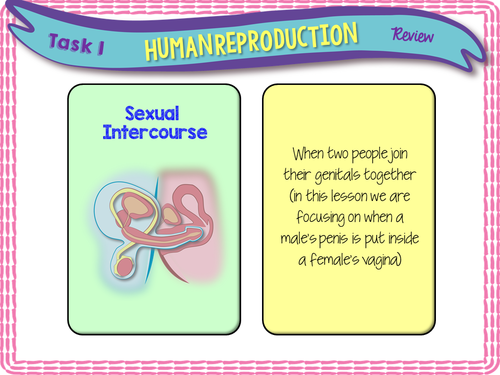 Sexual Intercourse + Genitalia PSHE | Teaching Resources