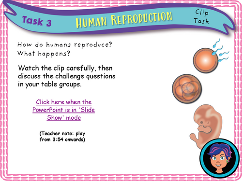 Sexual Intercourse + Genitalia PSHE | Teaching Resources