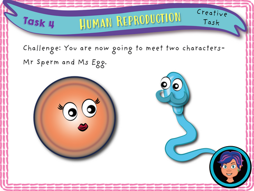 Sexual Intercourse + Genitalia PSHE | Teaching Resources