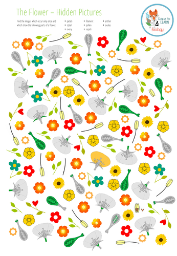The Flower - Hidden Pictures (KS2/3) | Teaching Resources