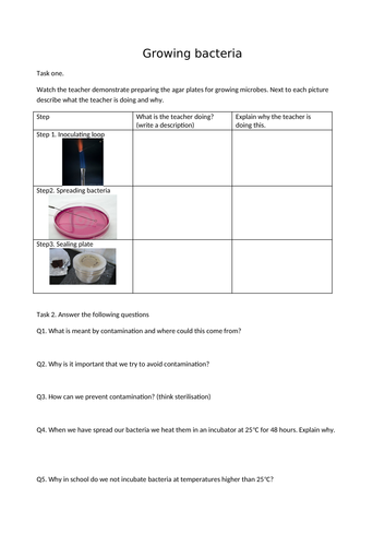 AQA New Spec - Bacteria Growth practical lesson 2020/2021 | Teaching ...