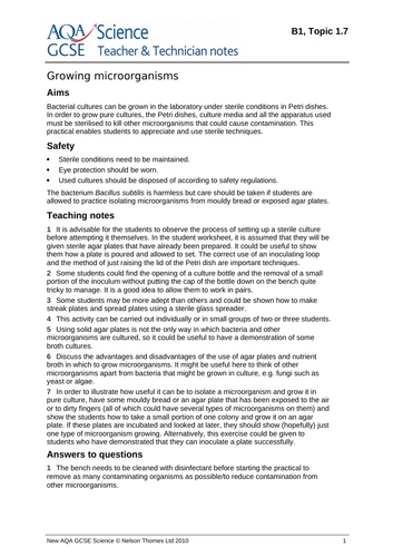 AQA New Spec - Bacteria Growth practical lesson 2020/2021 | Teaching ...