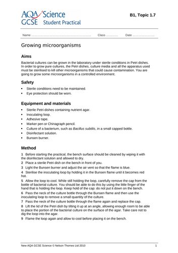 AQA New Spec - Bacteria Growth practical lesson 2020/2021 | Teaching ...