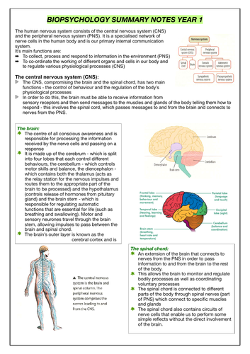 AQA A Level Psychology - All Paper 2 A* Bundle | Teaching Resources