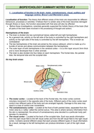 AQA A Level Psychology - Biopsychology bundle | Teaching Resources