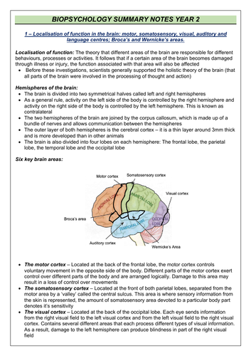 AQA A Level Psychology - Biopsychology bundle | Teaching Resources