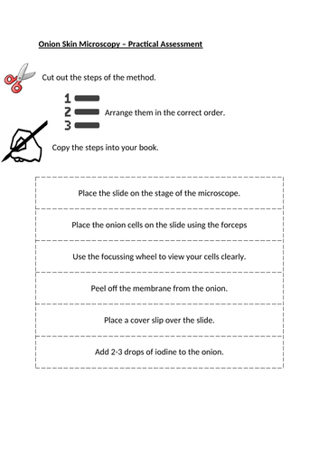 Onion skin microscopy method low ability | Teaching Resources