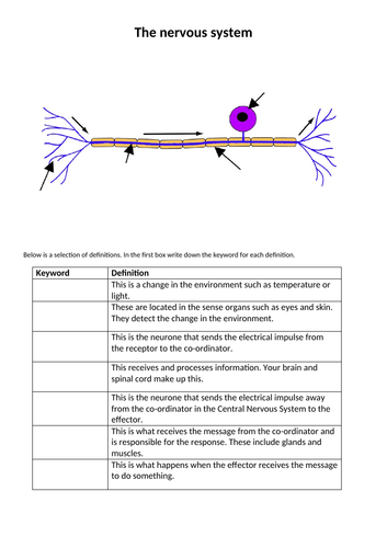 Nerve responses and reflex [AQA NEW SPEC] 2020/2021 | Teaching Resources