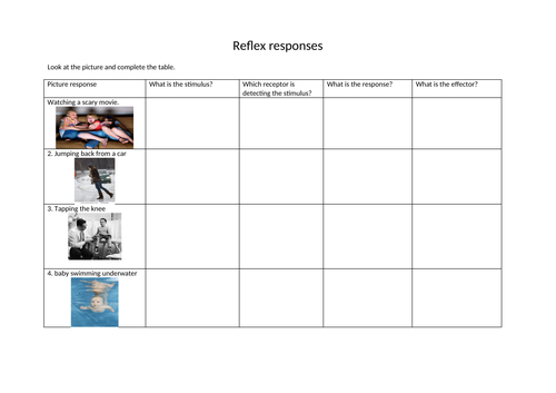 Reflex arc and synapses [AQA NEW SPEC] 2020/2021 | Teaching Resources