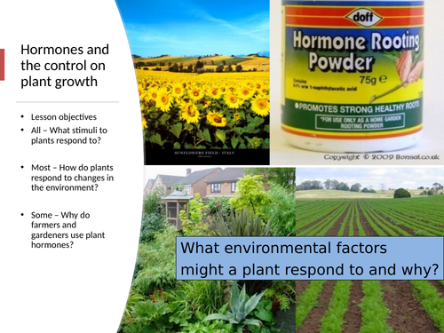 Plant Hormones [AQA NEW SPEC] | Teaching Resources