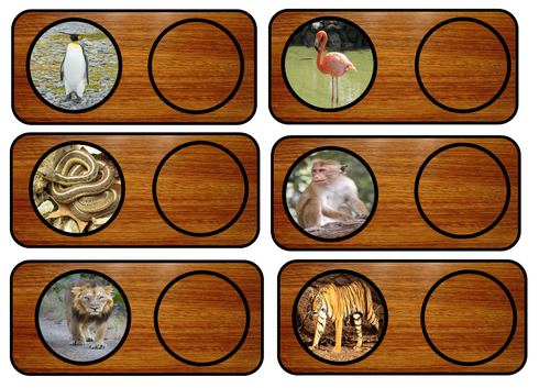 animal initial sounds (can be used with yellow door pebbles) | Teaching ...