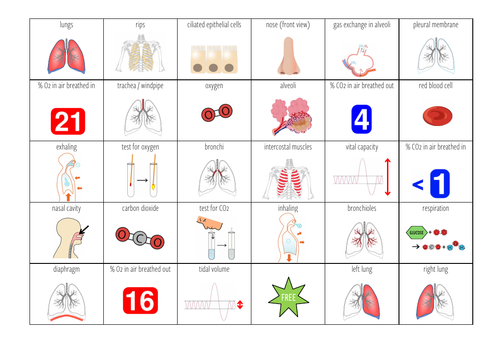 Respiratory System - Bingo (KS3/4) | Teaching Resources