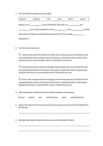 Kidneys and Dialysis Supplementary Slides and Worksheet (GCSE Biology ...
