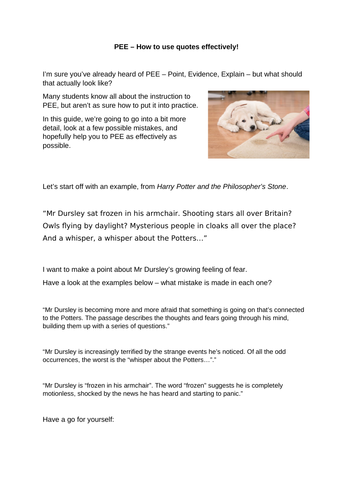 PEE Worksheets - identify the mistake | Teaching Resources