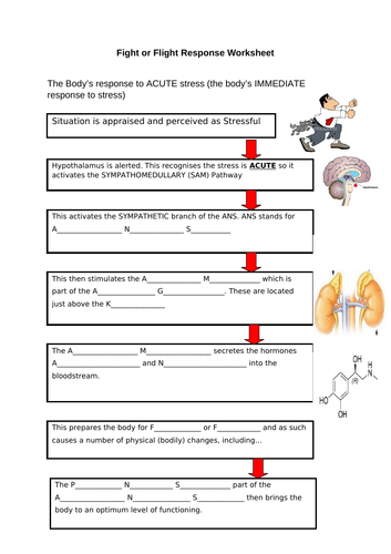 AQA Psychology A Level Biopsychology: The Endocrine System | Teaching ...