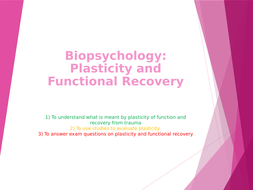 AQA Psychology A Level Biopsychology: Plasticity and Functional ...