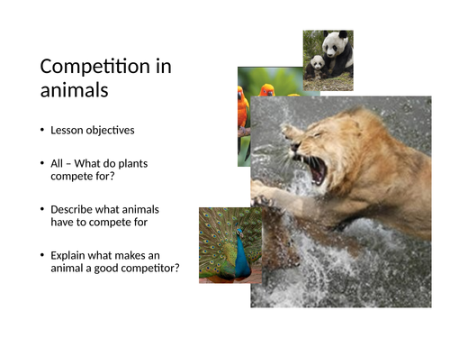 Competition between species [NEW SPEC AQA] 2020/2021 | Teaching Resources