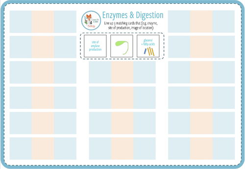 Enzymes and digestion - Digital Card sort (KS3/4) | Teaching Resources