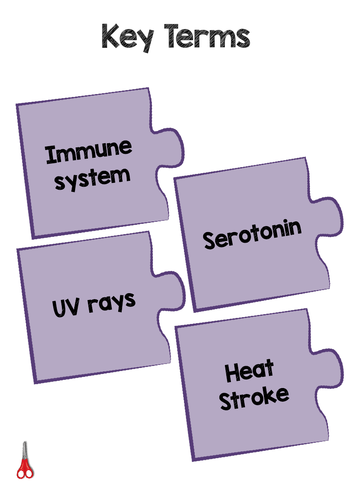 Sun Safety | Teaching Resources