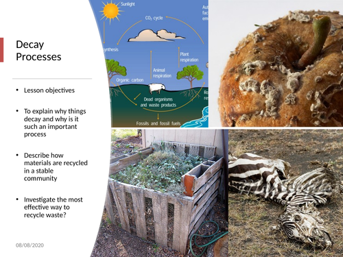 Decay and Decomposers [NEW SPEC AQA] 2020/2021 | Teaching Resources