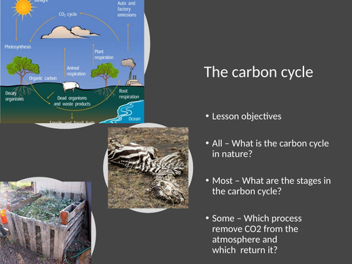 The Carbon Cycle [NEW SPEC AQA] 2020/2021 | Teaching Resources