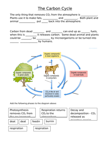 The Carbon Cycle [NEW SPEC AQA] 2020/2021 | Teaching Resources