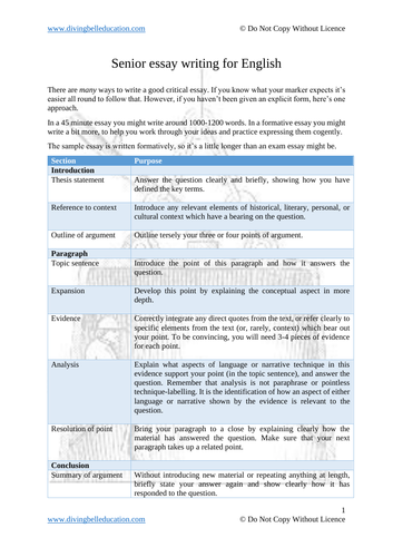 HSC Standard English Mod A Sample Essay and Essay Analysis: One Night ...