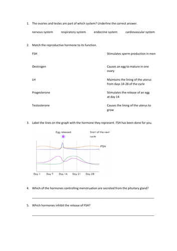 Menstrual Cycle Slides and Worksheet (GCSE Biology AQA) | Teaching ... Menstrual Cycle Slides and Worksheet (GCSE Biology AQA) | Teaching ...