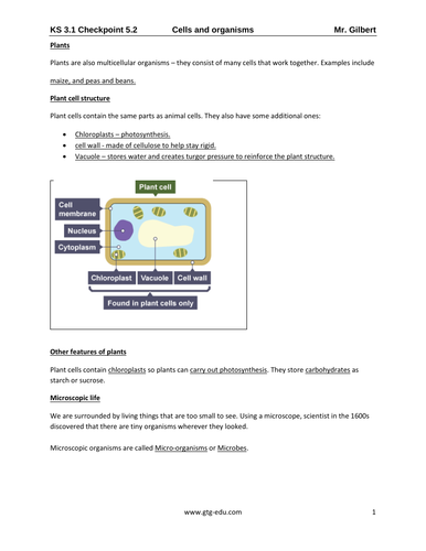 IGCSE Y7 Biology - Cells and Organism II | Teaching Resources