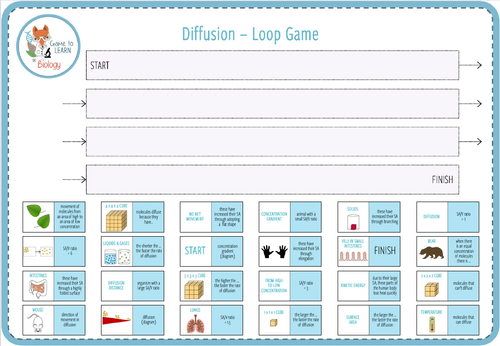 Diffusion - Digital Loop Game (KS3/4) | Teaching Resources