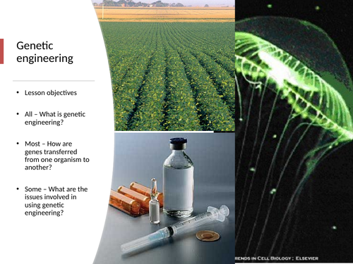 Genetic Engineering [AQA NEW SPEC] | Teaching Resources