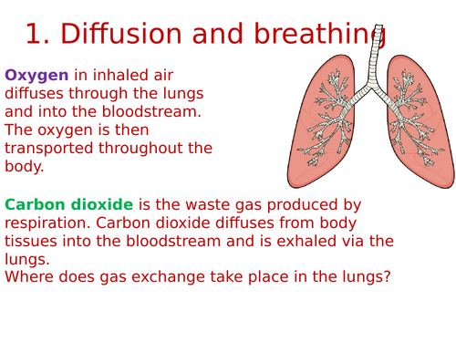 L9 Examples of diffusion | Teaching Resources