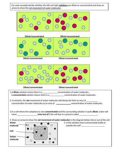 L10 & 11 Investigating osmosis | Teaching Resources