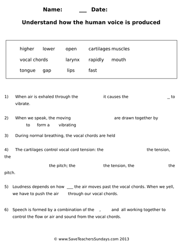 How the Human Voice is Produced KS2 Lesson Plan and Worksheets ...