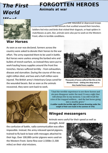 Animals at War - WW1 - First World War Forgotten Heroes | Teaching ...