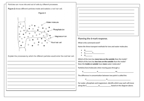 Cell Biology 6 Mark Extended Writing Planning Sheets | Teaching Resources