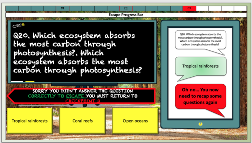 Water and Carbon Cycles - A Level Geography | Teaching Resources