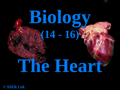Bio2.7 The Heart | Teaching Resources