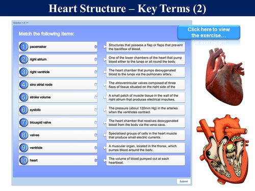 Bio2.7 The Heart | Teaching Resources