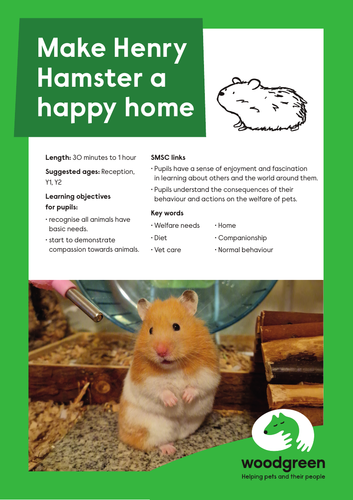 Make Henry Hamster a Happy Home interactive workshop | Teaching Resources