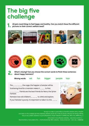 Make Henry Hamster a Happy Home interactive workshop | Teaching Resources