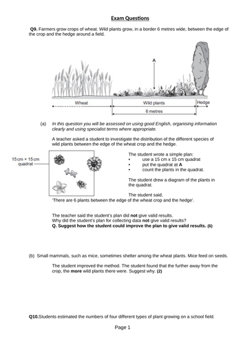 Sampling (Core Practical) | Teaching Resources