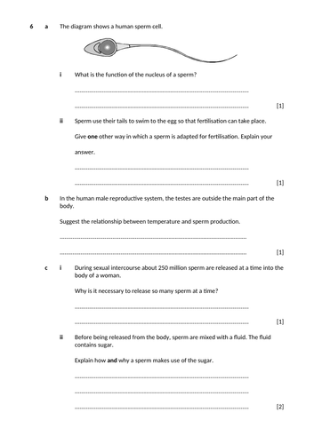 Male & Female Reproductive Systems | Teaching Resources